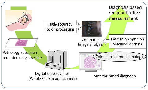 Pathology image analysis – Yamaguchi Lab