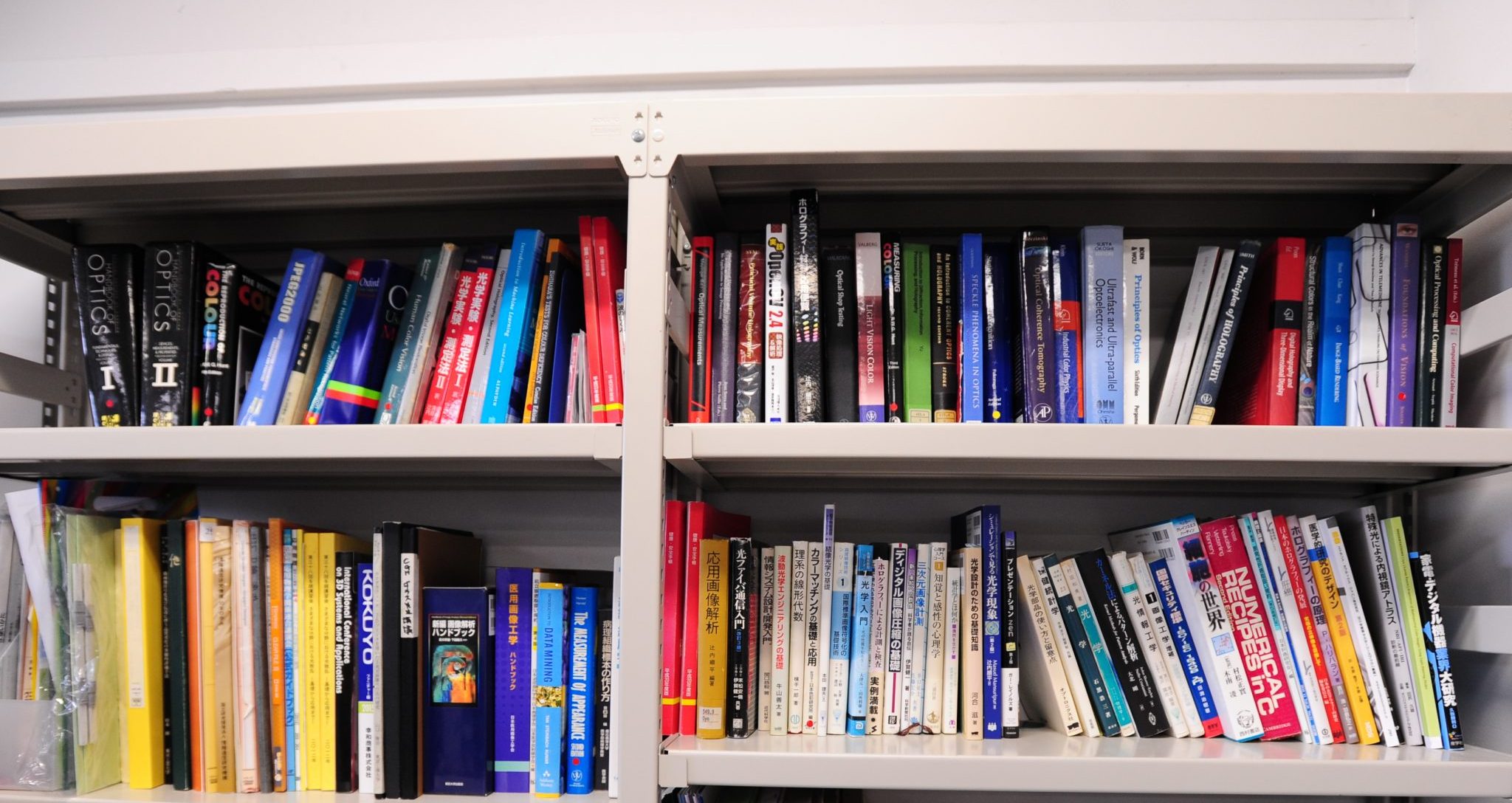 Research – Yamaguchi Lab