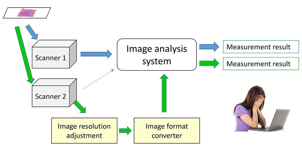 Image standardization for generic feature quantification – Yamaguchi Lab